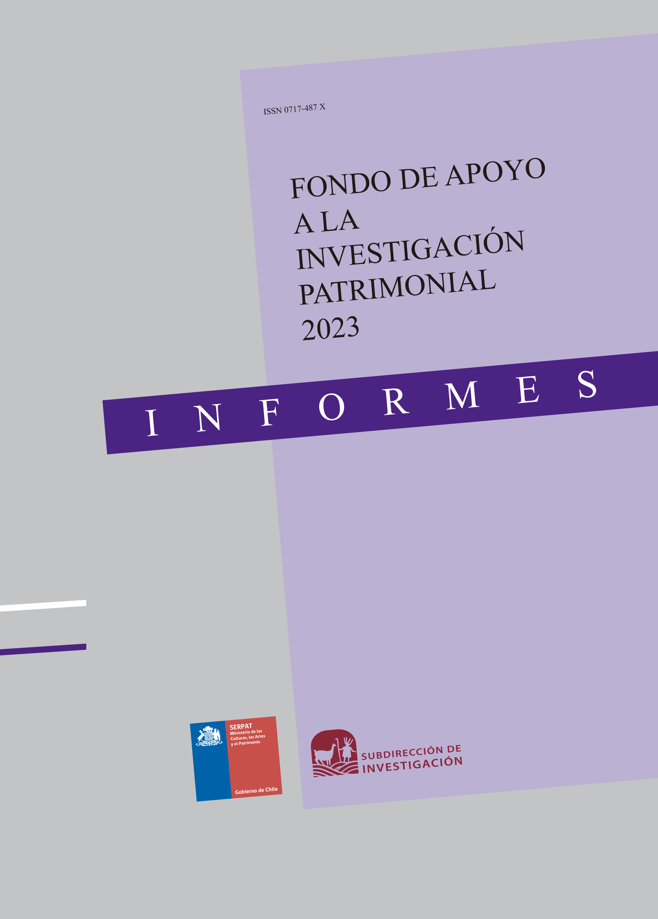 Informe Final FAIP 2023 | Subdirección de Investigación